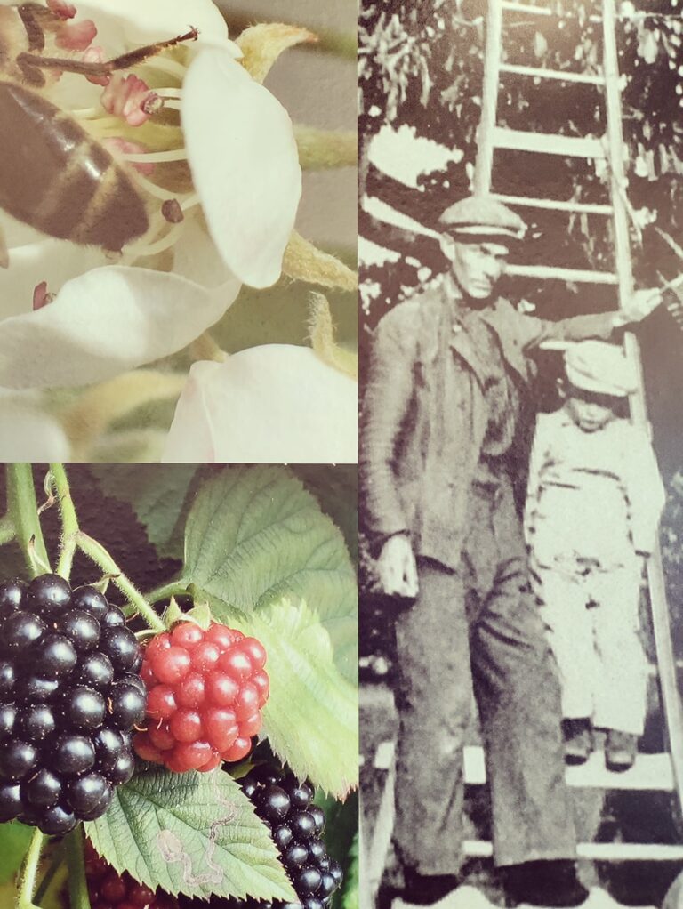 Bezoekers – ZeeuwsFruitMuseum